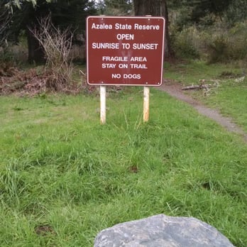AZALEA STATE NATURAL RESERVE - Updated September 2025 - 14 Photos - 809 ...