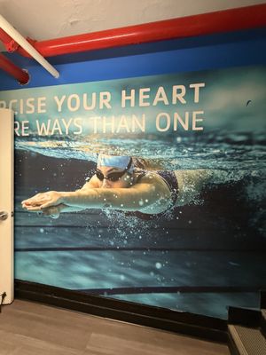 GREENPOINT BRANCH YMCA - Updated May 2026 - 67 Photos & 75 Reviews - 99 ...