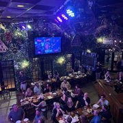 BIERGARTEN - 588 Photos & 347 Reviews - 309 Via De Palmas, Boca Raton ...