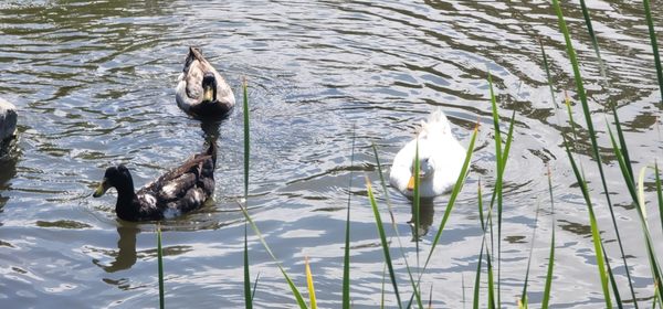 WEBB PARK - Updated December 2025 - 147 Photos & 44 Reviews - Avena Pl ...