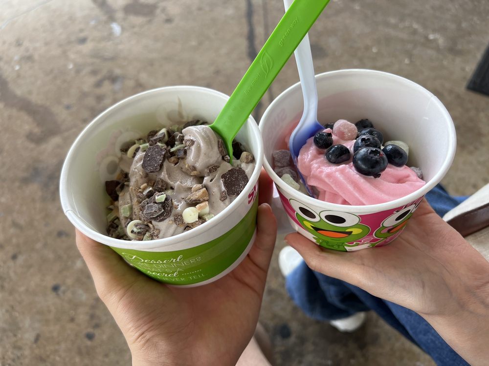 SWEETFROG PREMIUM FROZEN YOGURT - Updated October 2025 - 14 Photos & 21 ...