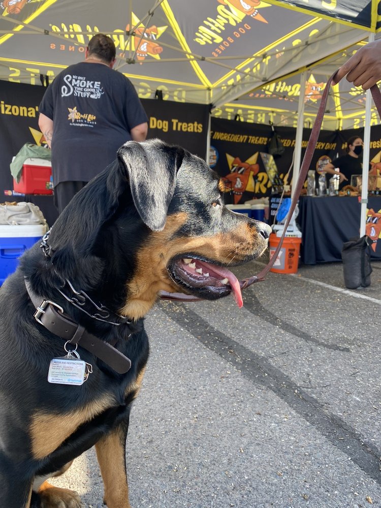 RUFF LIFE DOG BONES - Updated September 2025 - 12 Photos & 23 Reviews ...