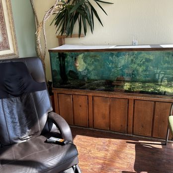 PATRICK CHENG, DC- THE BACK DOCTOR - Updated December 2025 - 14 Photos ...