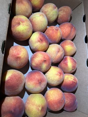 BLOOM RANCH OF ACTON - Updated July 2024 - 46 Photos & 27 Reviews ...