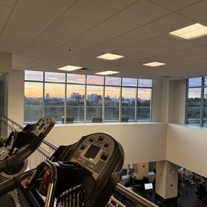 LYNX FITNESS CLUB - Updated February 2025 - 43 Photos & 43 Reviews - 64 ...