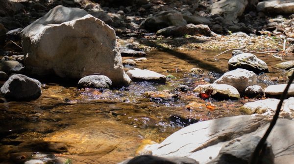 WALNUT CREEK PARK - Updated July 2024 - 185 Photos & 66 Reviews - 1100 ...