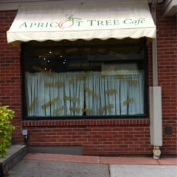 APRICOT TREE CAFE - Updated January 2026 - 292 Photos & 133 Reviews ...