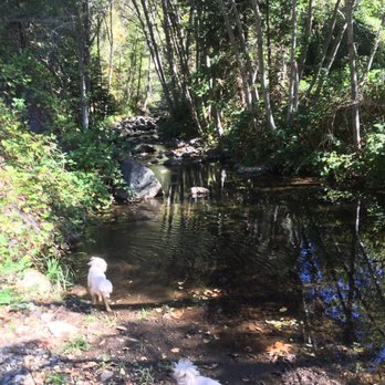 DUTCH FLAT RV RESORT - Updated June 2024 - 31 Photos & 25 Reviews - 55 ...