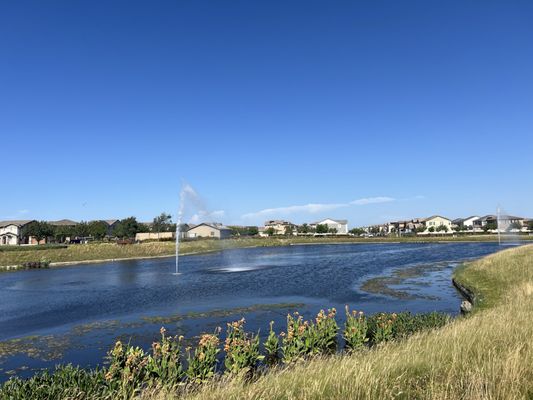 EMERSON RANCH PARK - Updated June 2025 - 13 Photos - Shearwater Way ...