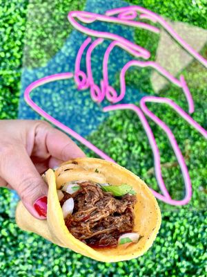 TIKILA TACOS & MEZCAL - Updated July 2024 - 160 Photos & 63 Reviews ...