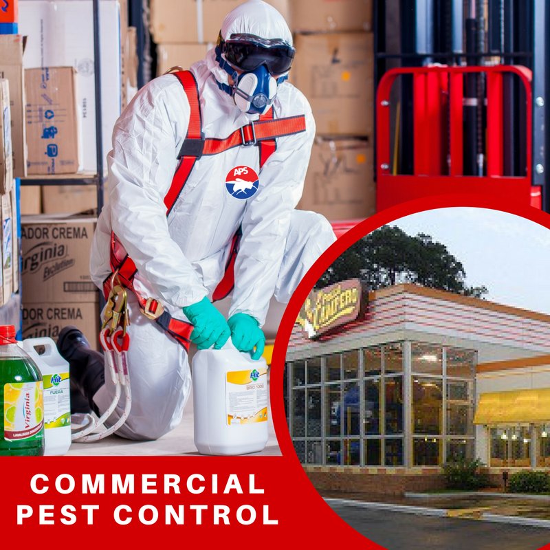 AMERICAN PEST SOLUTIONS - Updated October 2025 - Boynton Beach, Florida ...