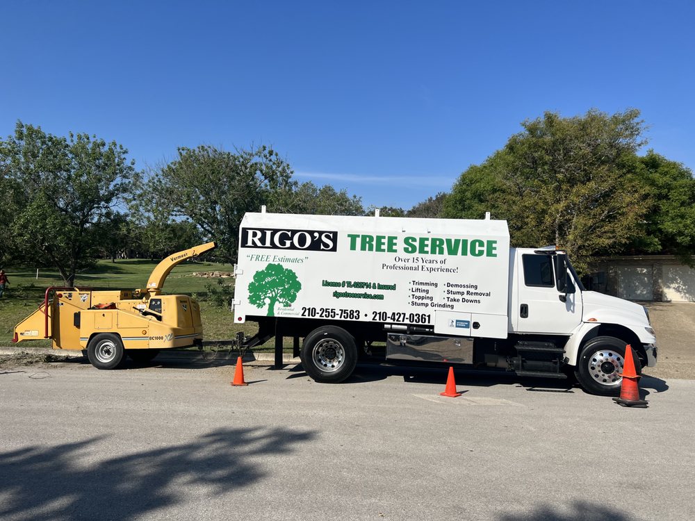 RIGO’S TREE SERVICE - Updated July 2025 - 134 Cabot St, San Antonio ...