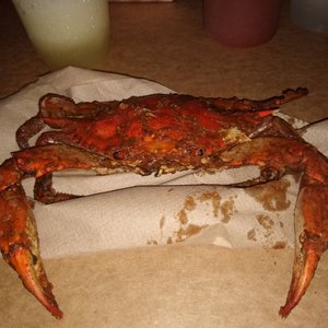 CRAB BAG - 588 Photos & 828 Reviews - Seafood - 13005 Coastal Hwy ...