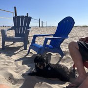 RUDDER ROOM - 94 Photos & 173 Reviews - 2929 Ocean Dr, Oxnard ...