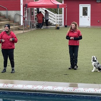 PURINA FARMS - TEMP. CLOSED - Updated August 2025 - 161 Photos & 54 ...