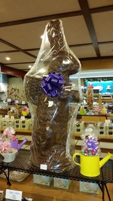 JOSH EARLY CANDIES - Updated December 2025 - 19 Photos & 27 Reviews ...