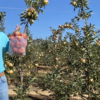 CROSS KEYS FARM - Updated September 2025 - 13 Photos - 3022 Cross Keys ...