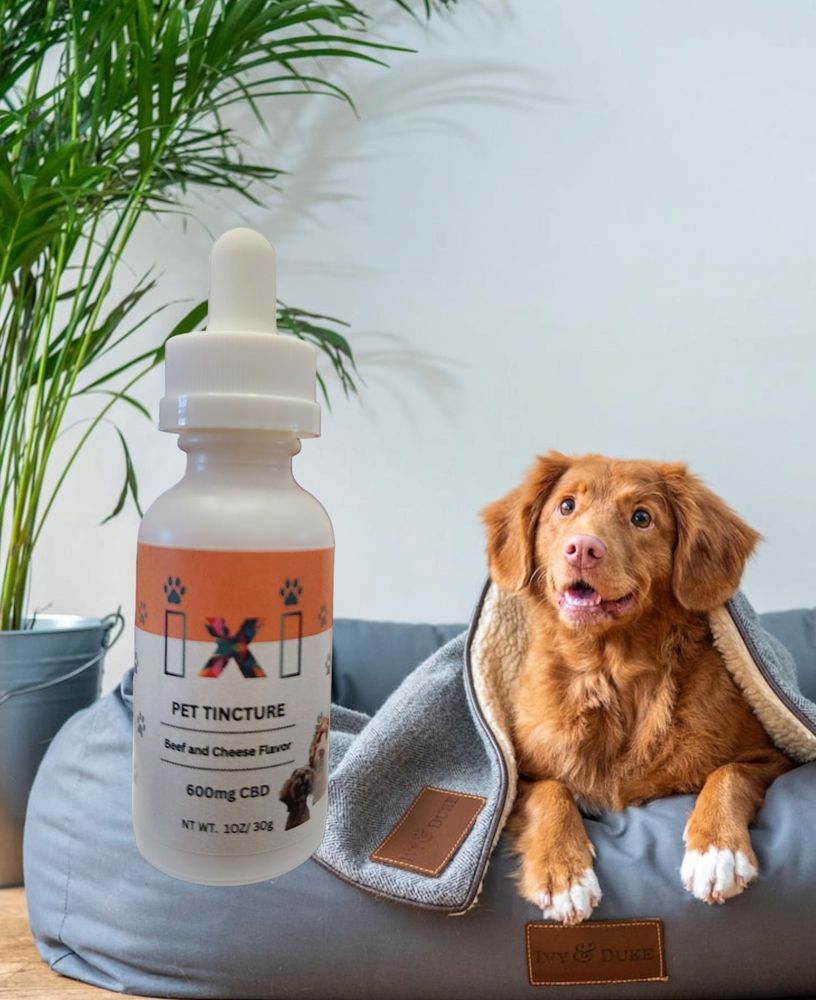 VAPE TOWN VAPE SHOP - Updated August 2025 - 76 Photos - 325 Marketplace ...