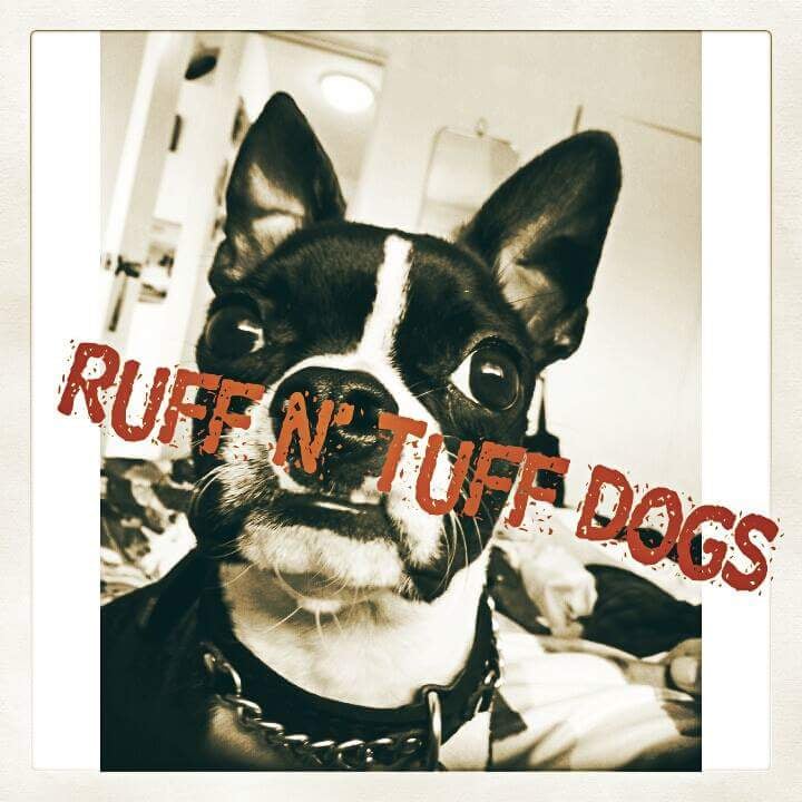 RUFF N’ TUFF DOG WALKING - 47 Photos - Los Angeles, California - Dog ...