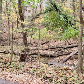 WALHALLA RAVINE - Updated July 2025 - 18 Photos - Walhalla Rd, Columbus ...