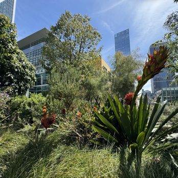SALESFORCE PARK - Updated March 2025 - 1576 Photos & 182 Reviews - 425 ...