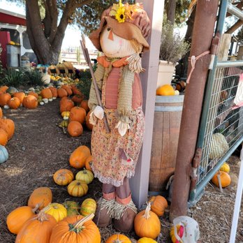 PRANCERS FARM - Updated August 2025 - 148 Photos & 46 Reviews - 18540 E ...