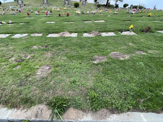 QUEEN OF HEAVEN CEMETERY & MAUSOLEUM - Updated April 2026 - 34 Photos ...