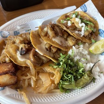 TACOS TEC - Updated October 2025 - 29 Photos & 15 Reviews - 19841 ...