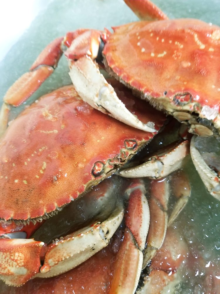 KERBY’S FISH - 11 Photos & 29 Reviews - 1420 West Side Hwy, Kelso ...