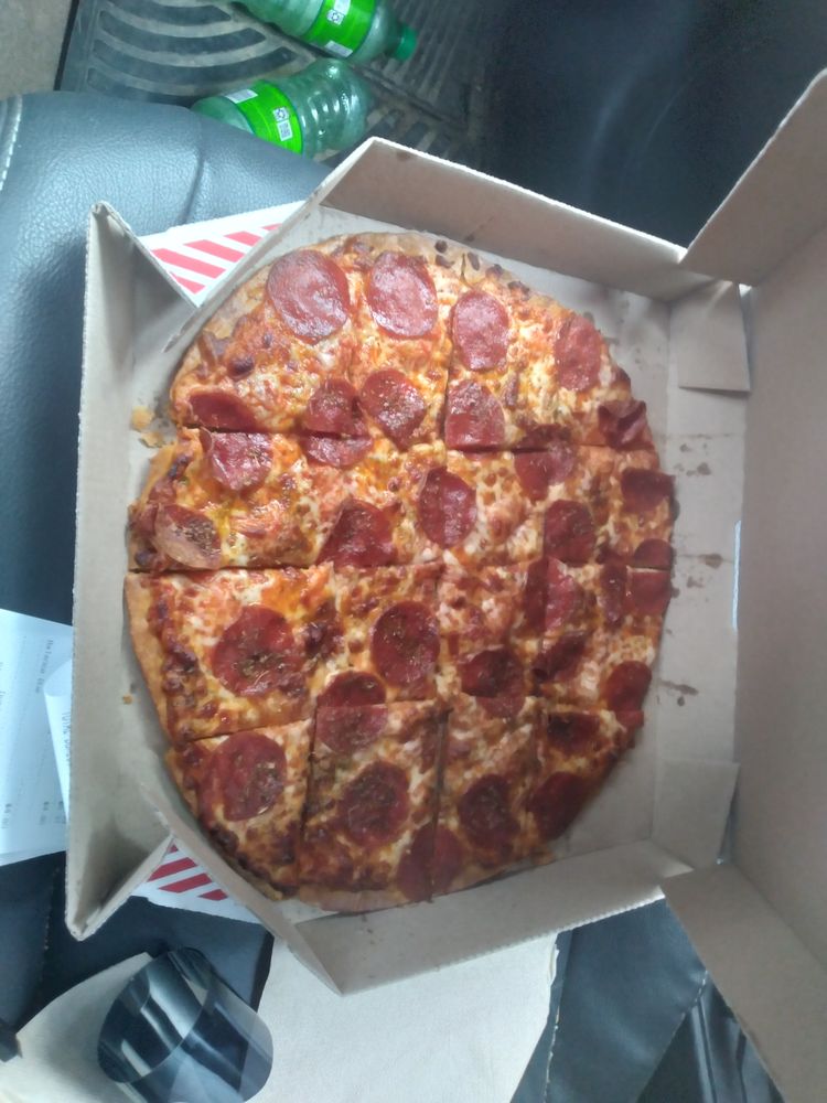 DOMINO’S PIZZA - Updated July 2025 - 14 Reviews - 801 S Wayne St ...