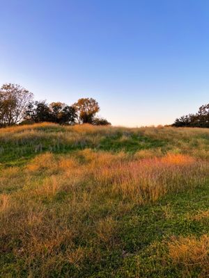 BALCONES COUNTRY CLUB - Updated July 2025 - 15 Photos - 11210 Spicewood ...