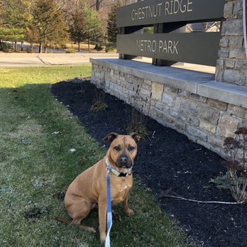 CHESTNUT RIDGE METRO PARK - Updated April 2025 - 69 Photos & 24 Reviews ...