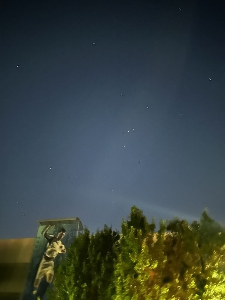 THE PLEX ATHLETIC CLUB - Updated October 2025 - 172 Photos & 311 ...