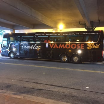 VAMOOSE BUS - Updated May 2025 - 40 Photos & 170 Reviews - 360 7th Ave ...