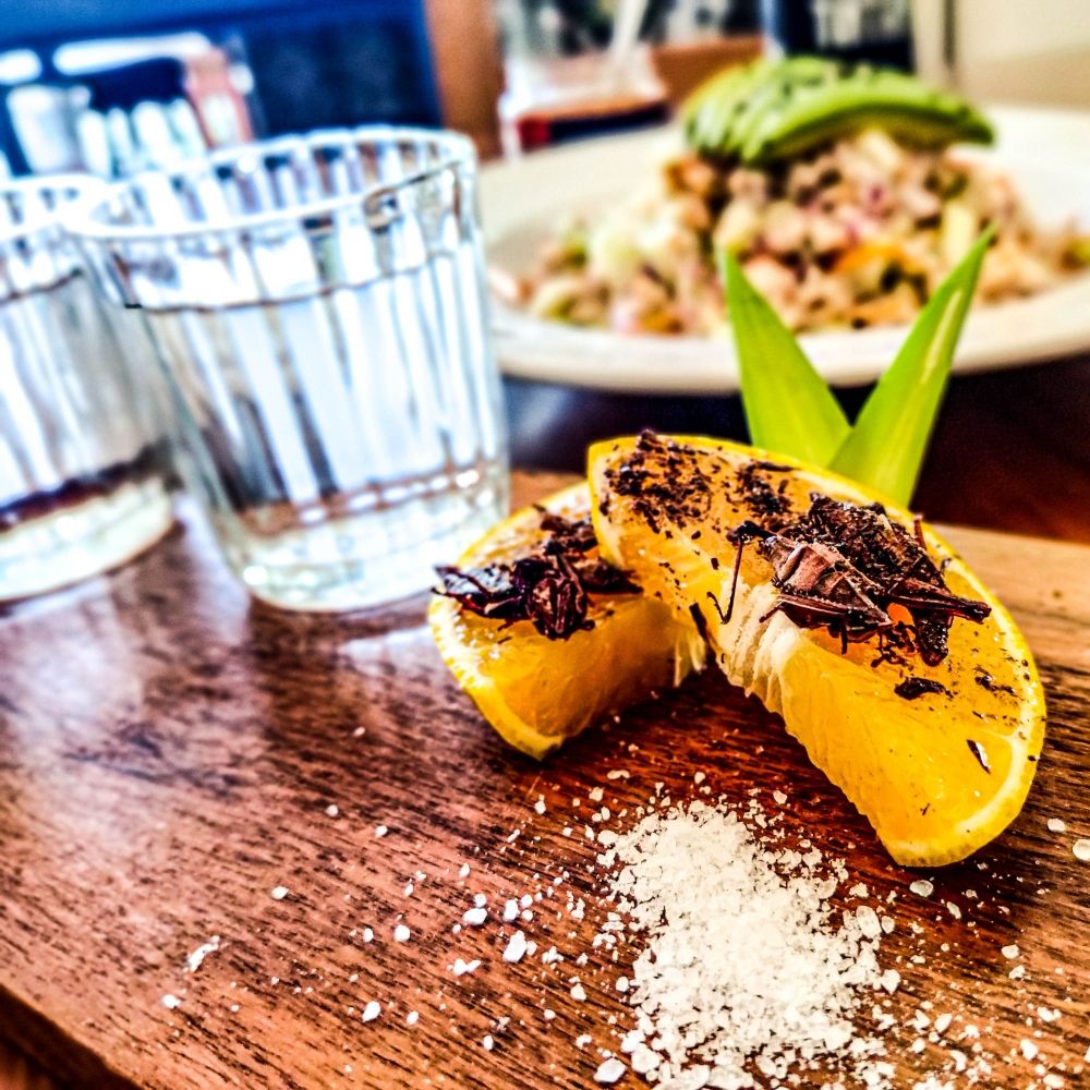 TARRAYA PV - 33 Photos - Puerto Vallarta, Jalisco, Mexico - Yelp