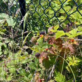 MAGNOLIA VIEWPOINT - Updated November 2025 - 10 Photos - 2047-2221 ...