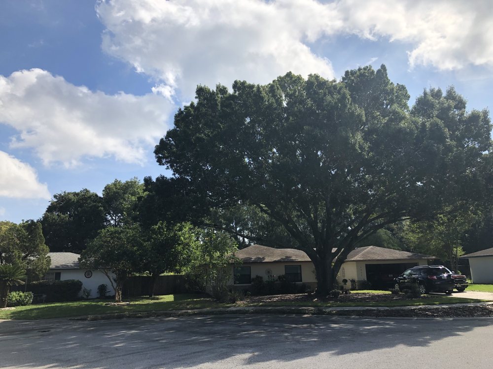 RED OAK TREE SERVICE - Updated January 2026 - 17 Photos - Casselberry ...