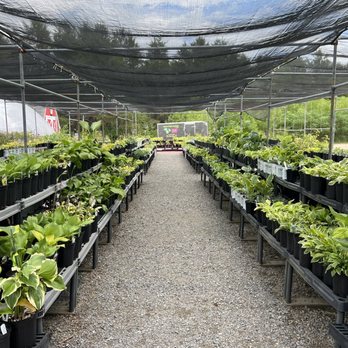 THE HOSTA STOP - Updated July 2025 - 11 Photos - 1011 WI-54 W, Plover ...