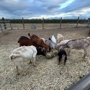 COYOTE CROSSING RANCH - Updated December 2025 - 23 Photos - 3725 Willow ...