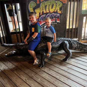 GATOR BEACH - Updated January 2025 - 117 Photos & 58 Reviews - 20001 ...