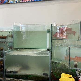 ZHEN RESTAURANT - Updated June 2024 - 151 Photos & 46 Reviews - 121 El ...