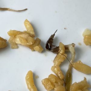 CHINA EXPRESS - Updated June 2024 - 67 Photos & 170 Reviews - 5748 W ...