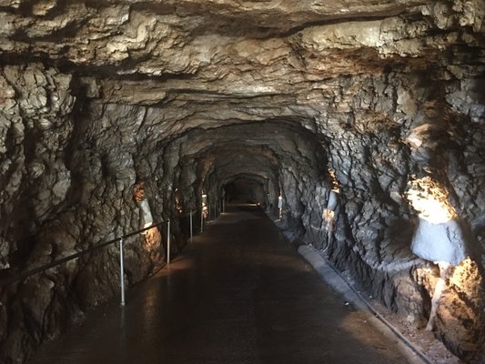 Inner Space Cavern - 648 Photos & 283 Reviews - Tours - 4200 S IH-35 ...