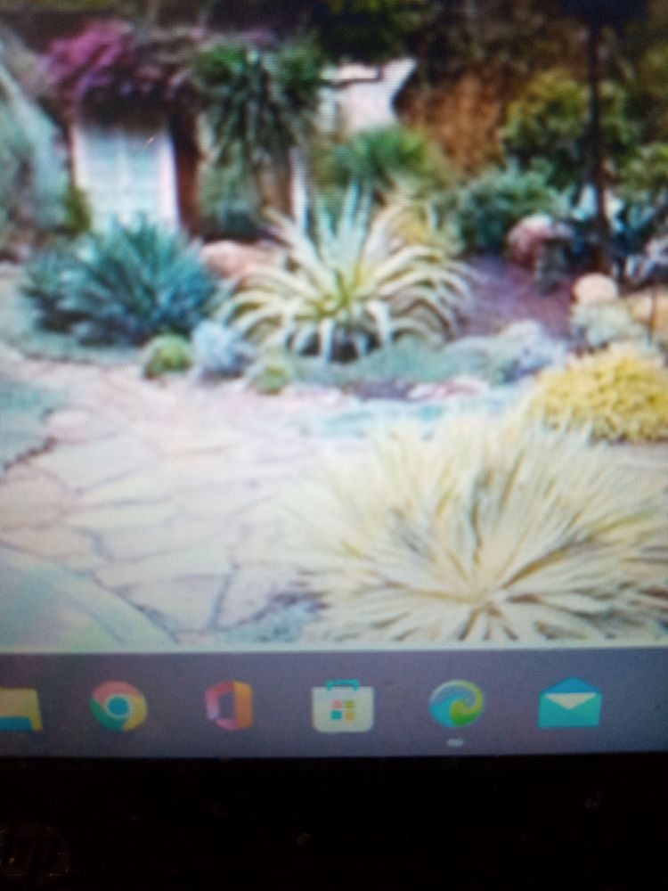 WALNUT CREEK LANDSCAPE DESIGNS - 10 Photos - Santa Barbara, California ...