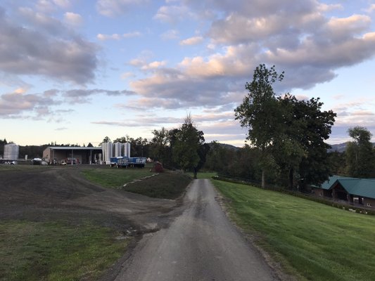 MELROSE VINEYARDS - 54 Photos & 32 Reviews - 885 Melqua Rd, Roseburg ...