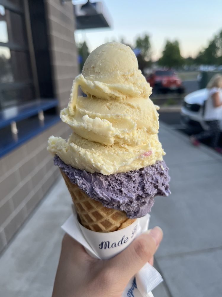 HANDEL’S HOMEMADE ICE CREAM - Updated August 2024 - 21 Reviews - 61165 ...