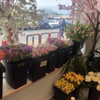 CYMNOW FLOWERS - Updated March 2025 - 166 Photos & 43 Reviews - 6757 ...