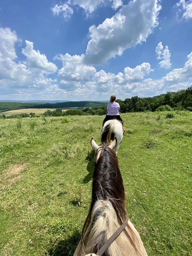 CIRCLE R RANCH - Updated December 2025 - 20 Photos & 28 Reviews - 4151 ...