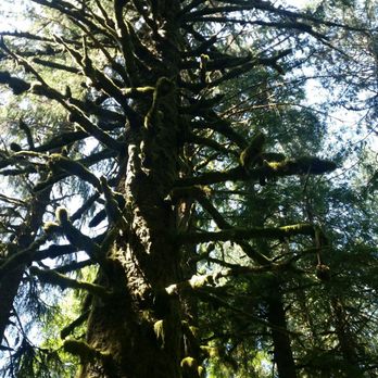 LEE WOODEN FISHHAWK FALLS PARK - Updated October 2025 - 202 Hwy ...