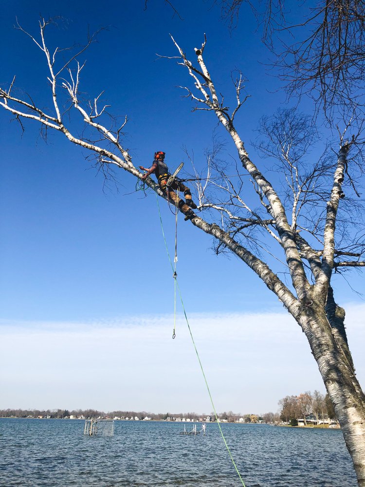 HENCKEL’S TREE SERVICE - Updated September 2025 - 14 Photos - Mendon ...